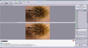 Testbericht: HeliconSoft Helicon Focus Pro 4.80 - digitalkamera.de ...