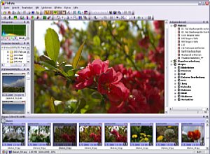 Testbericht: Joachim Koopmann Software FixFoto 2.80 - digitalkamera.de ...
